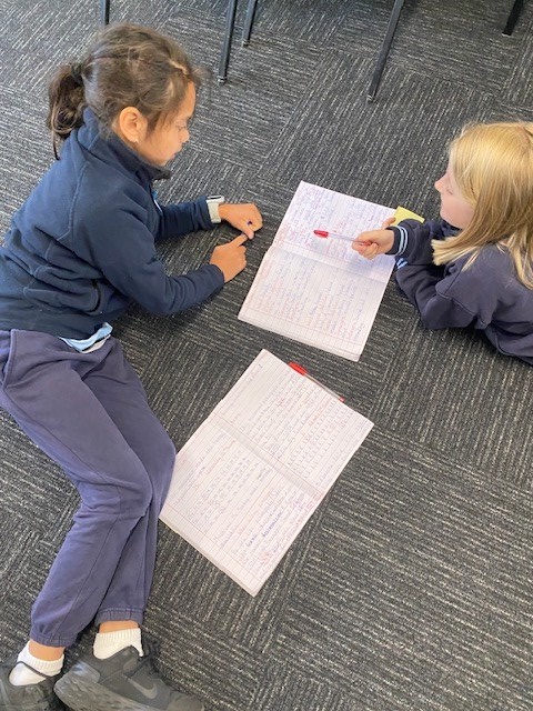 Grade 4 - Strathaird Primary School