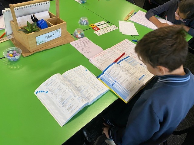 Grade 4 - Strathaird Primary School