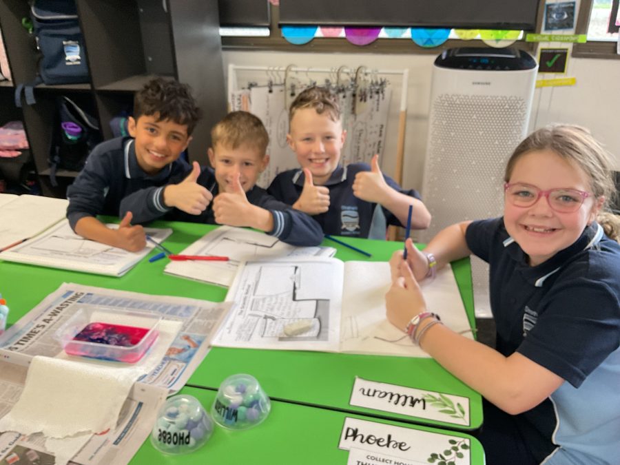 Grade 4 - Strathaird Primary School