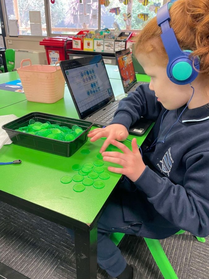 Grade 2 - Strathaird Primary School