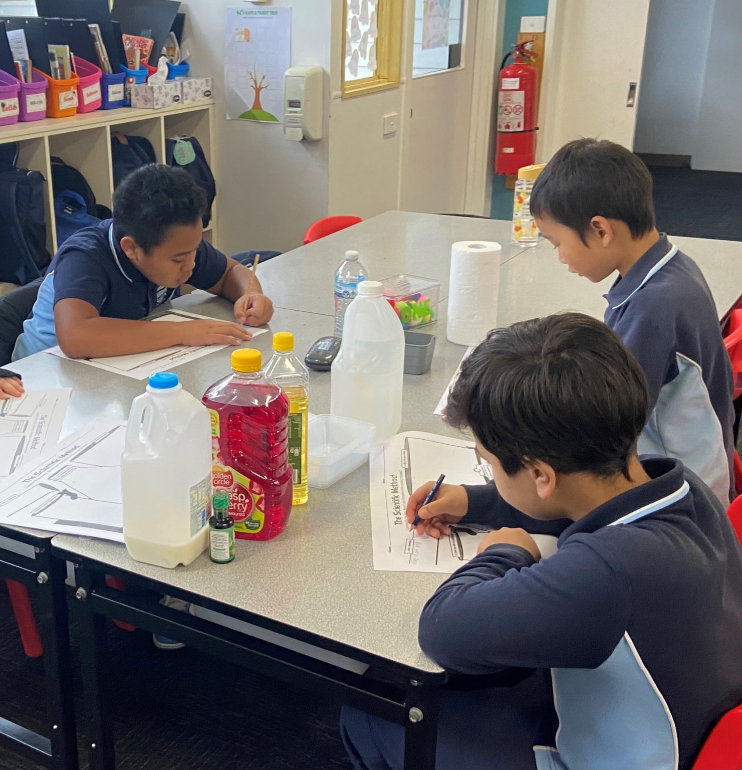 Grade 4 - Strathaird Primary School